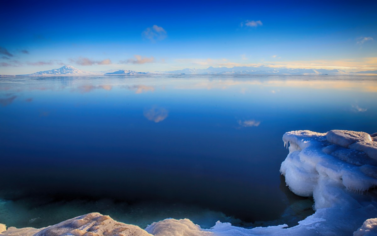 The Coldest Continent | Cruise | Antarctica