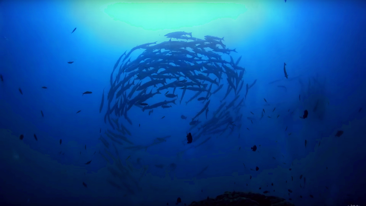 Papua New Guinea — Kimbe | Destinations Magazine