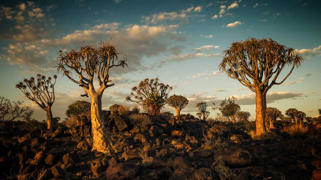 Namibia | Destinations Magazine