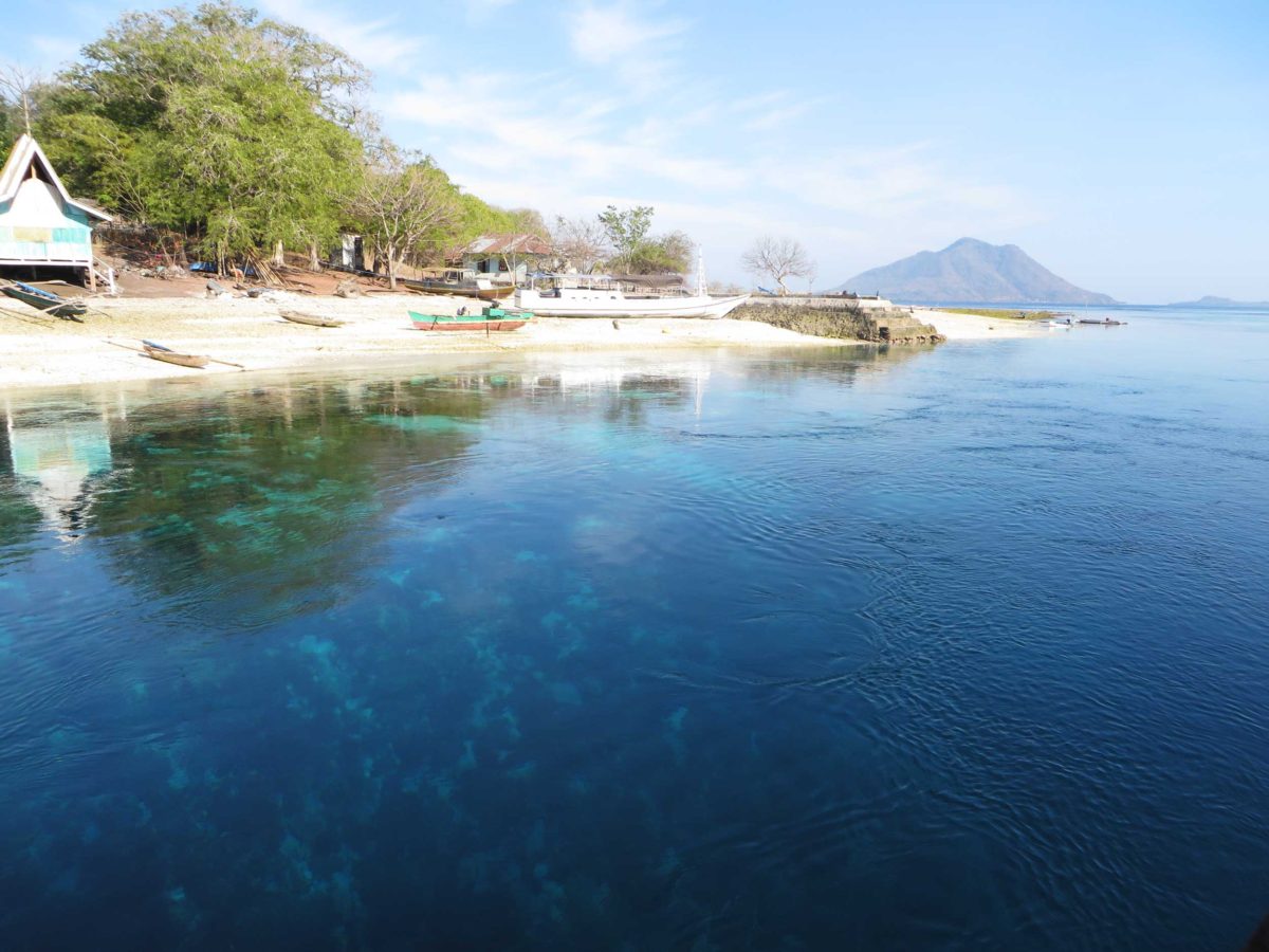 West Timor — Fit for a King | Destinations Magazine