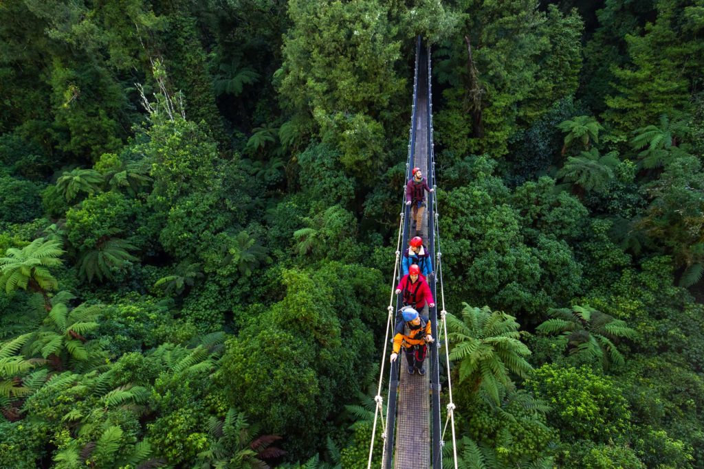 Through the Treetops – The Ultimate Canopy Tour | Destinations Magazine