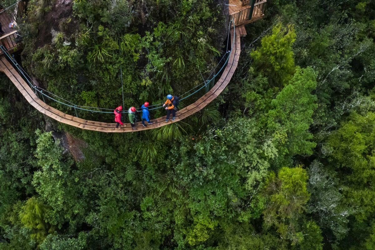 Through the Treetops – The Ultimate Canopy Tour | Destinations Magazine