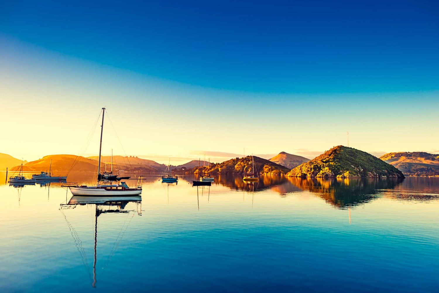 Dunedin: City Guide — Part One | Destinations Magazine